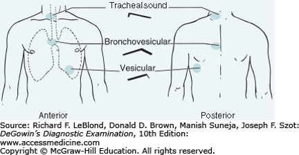 Lung Auscultation – Physical Therapy Reviewer
