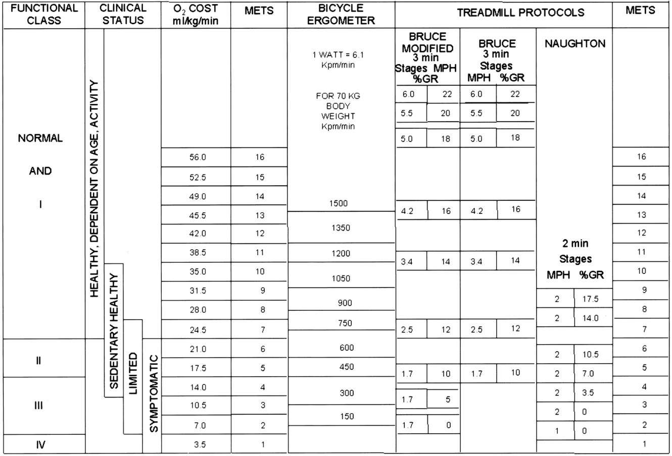 Functional Classification – Physical Therapy Reviewer